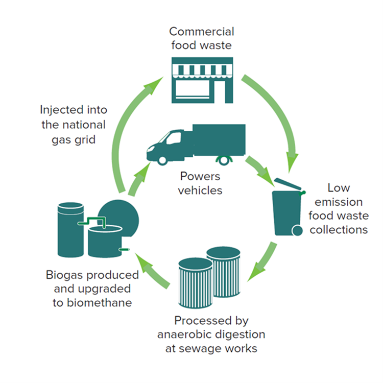 How does your food waste get converted into energy? | McCarthy Marland